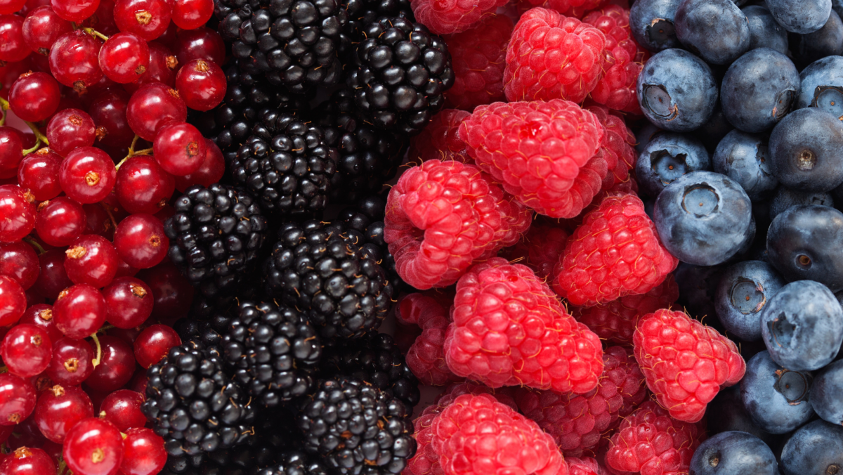 O firmie – bioberry.com.pl